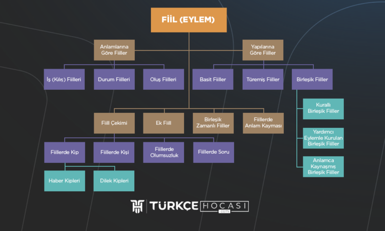 Fiil (Eylem) Konu Anlatımı - Türkçe Hocası