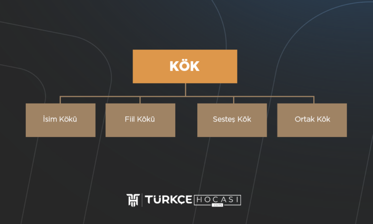 Kök (İsim Kökleri – Fiil Kökleri) Konu Anlatımı - Türkçe Hocası